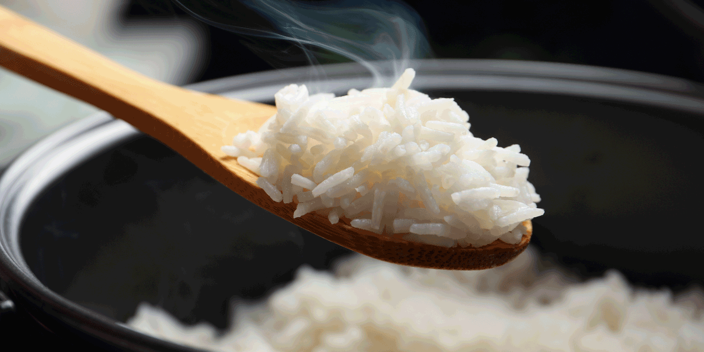 Best Ceramic Rice Cooker 2023: Ultimate Review & Guide