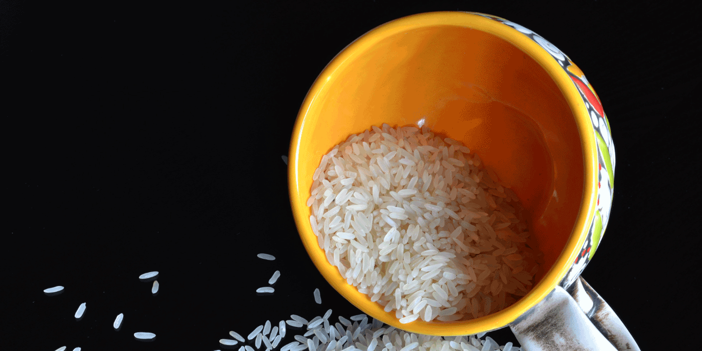 Best Rice Cup for Perfect Portioning