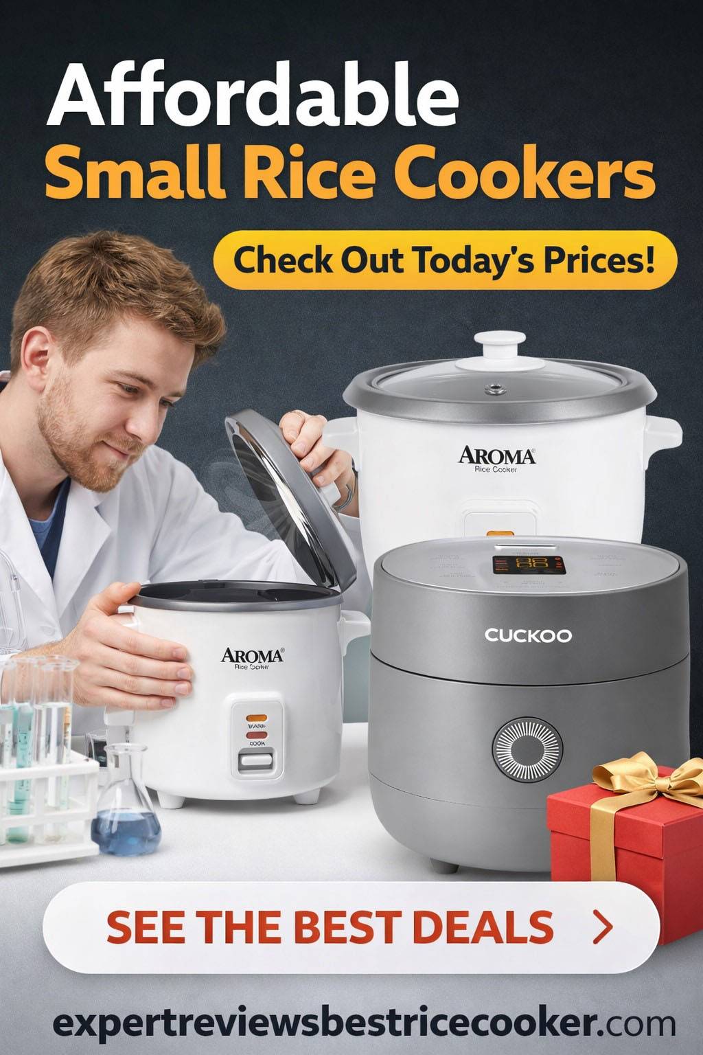 Small Rice Cooker Price Range: Compact and Affordable Options